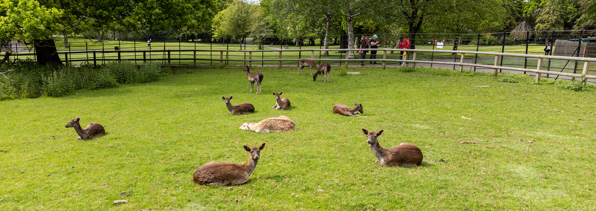 Area Guide to Golders Green NW11